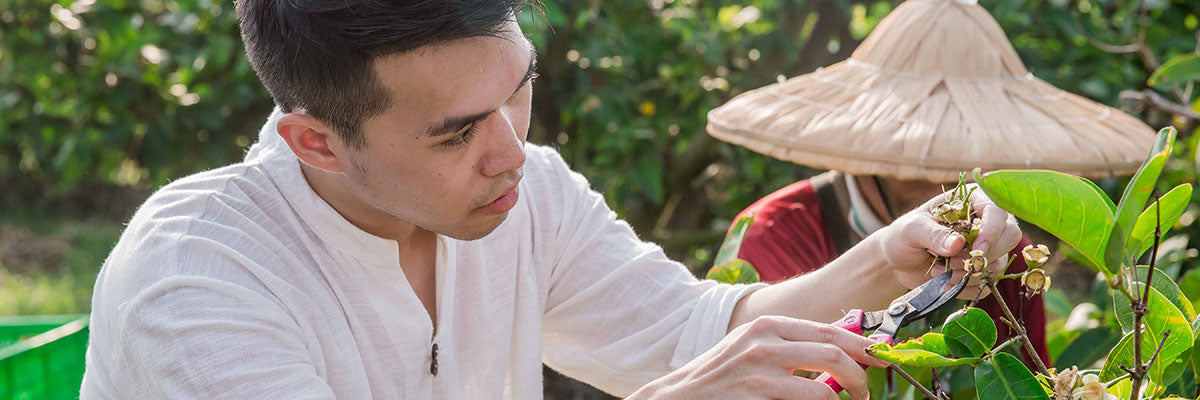 Personal Story Behind the Founding of Frusirnag